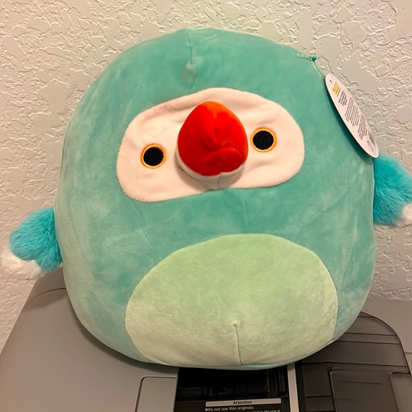 Squishmallows | Toys | Shoni The Dodo Bird 1 Squishmallow | Poshmark